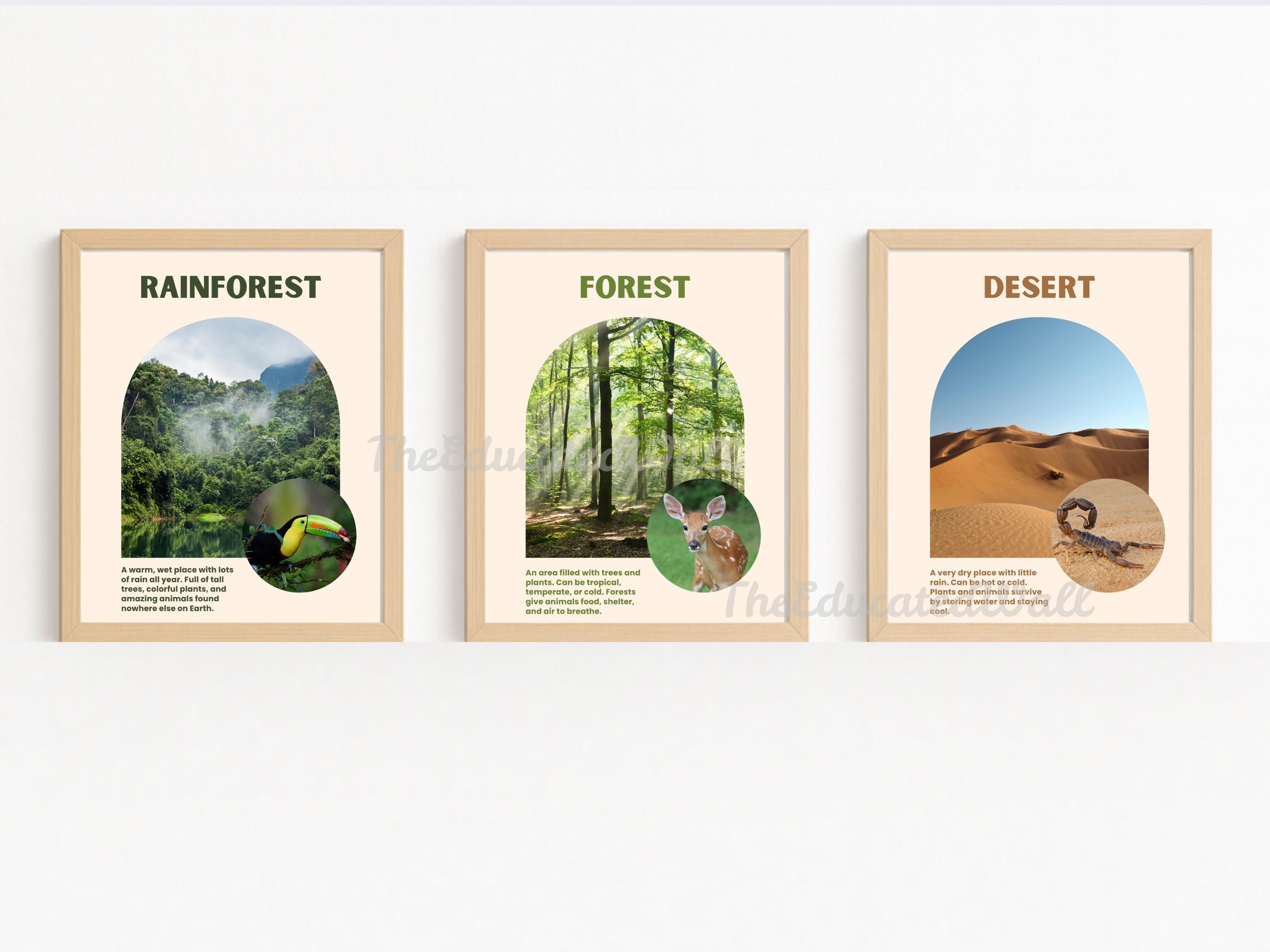 Biome Poster Set, Ecology Science Posters, Geography and Climate ...