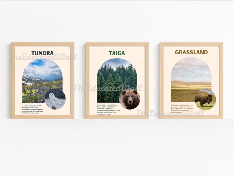 Biome Poster Set, Ecology Science Posters, Geography and Climate ...