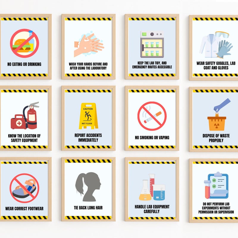 Lab Safety Poster - Etsy Australia