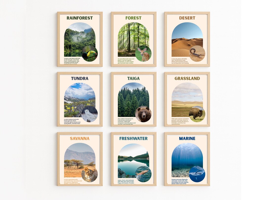Biome Poster Set, Ecology Science Posters, Geography and Climate ...