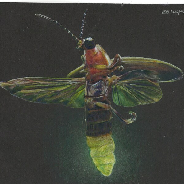 Lightning Bug - Etsy