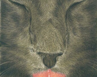 Cat Pencil Art | Etsy