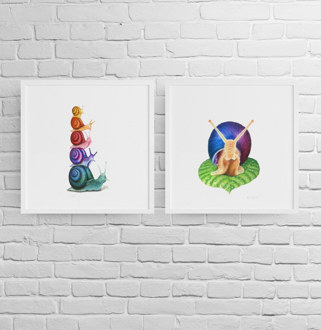 SNAILS Framed Set of Snail Stack and Snail Solo, Hand Drawn Wall Art in ...