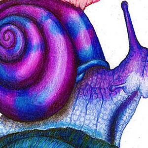 Snail Stack Whimsical Snail Wall Art Hand Drawn in Colored Pencil - Etsy