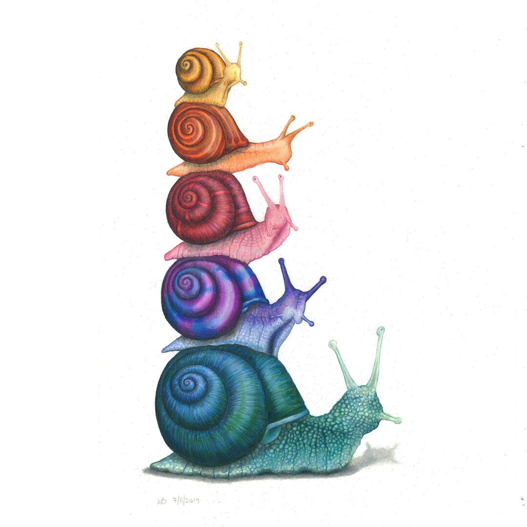Snail Stack Whimsical Snail Colored Pencil Art Print - Etsy