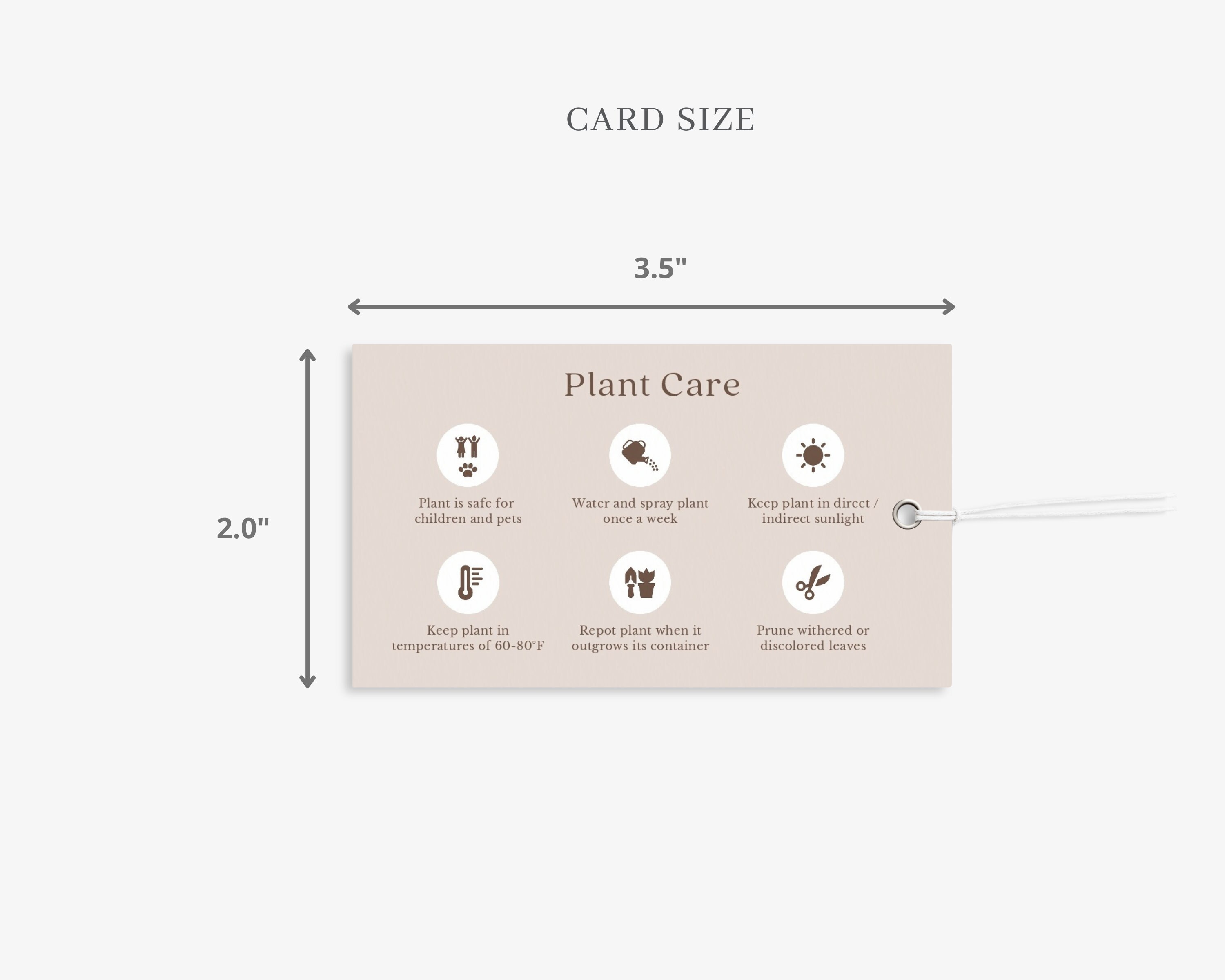 Plant Care Card Template Printable Plant Care Instructions - Etsy