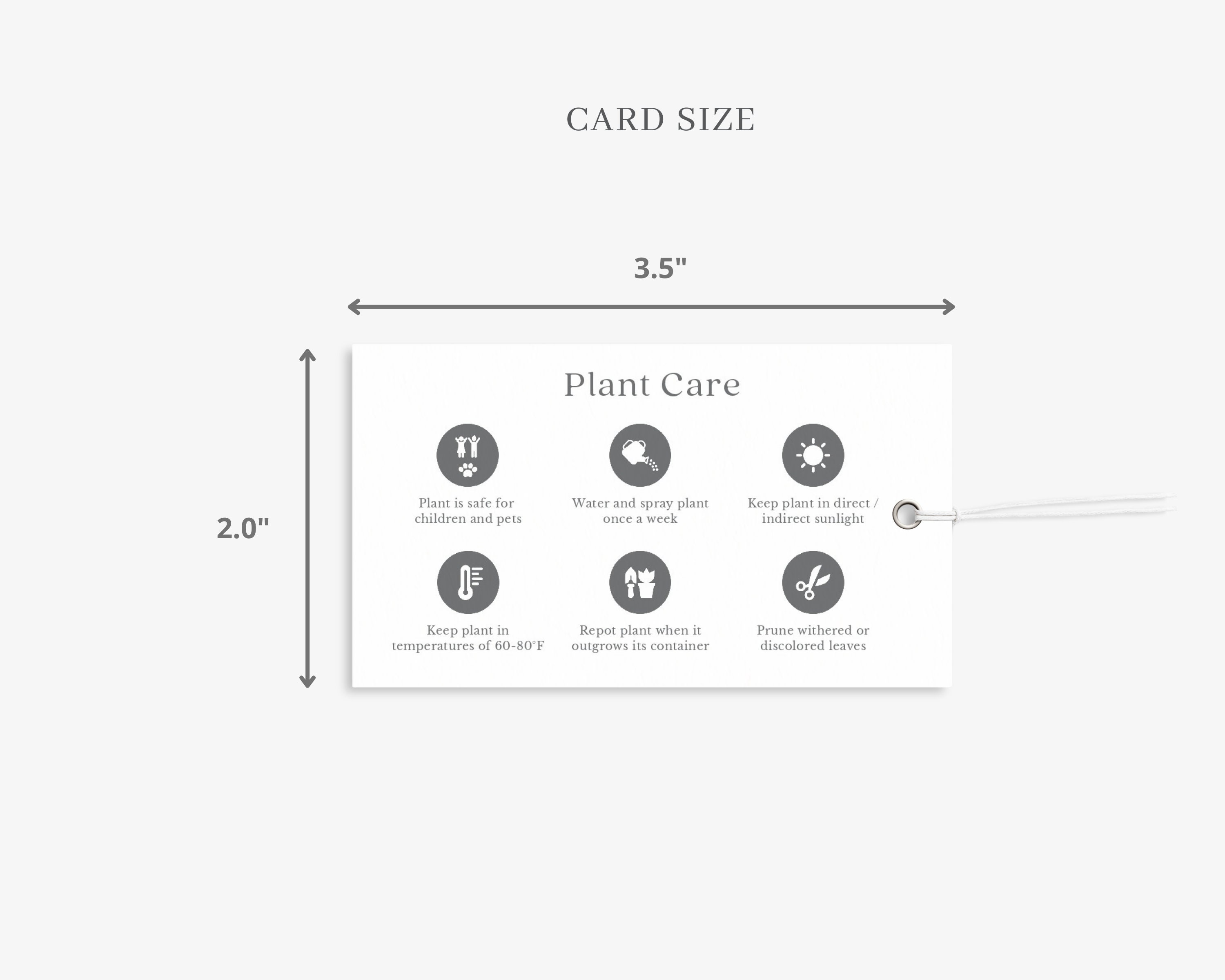 Plant Care Hang Tag Template Printable Plant Care - Etsy