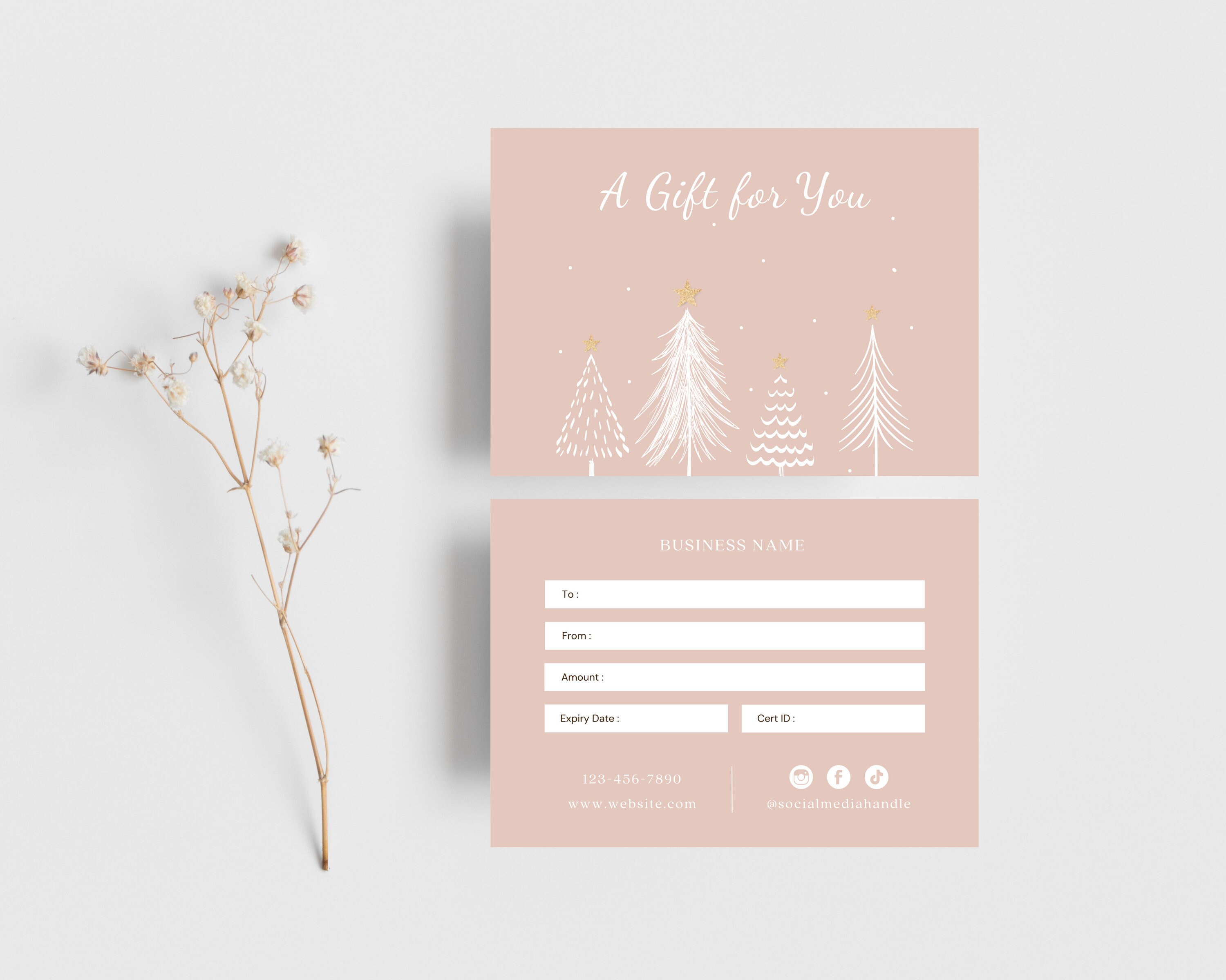 Christmas Gift Card Template, Printable Holiday Gift Voucher, Modern ...