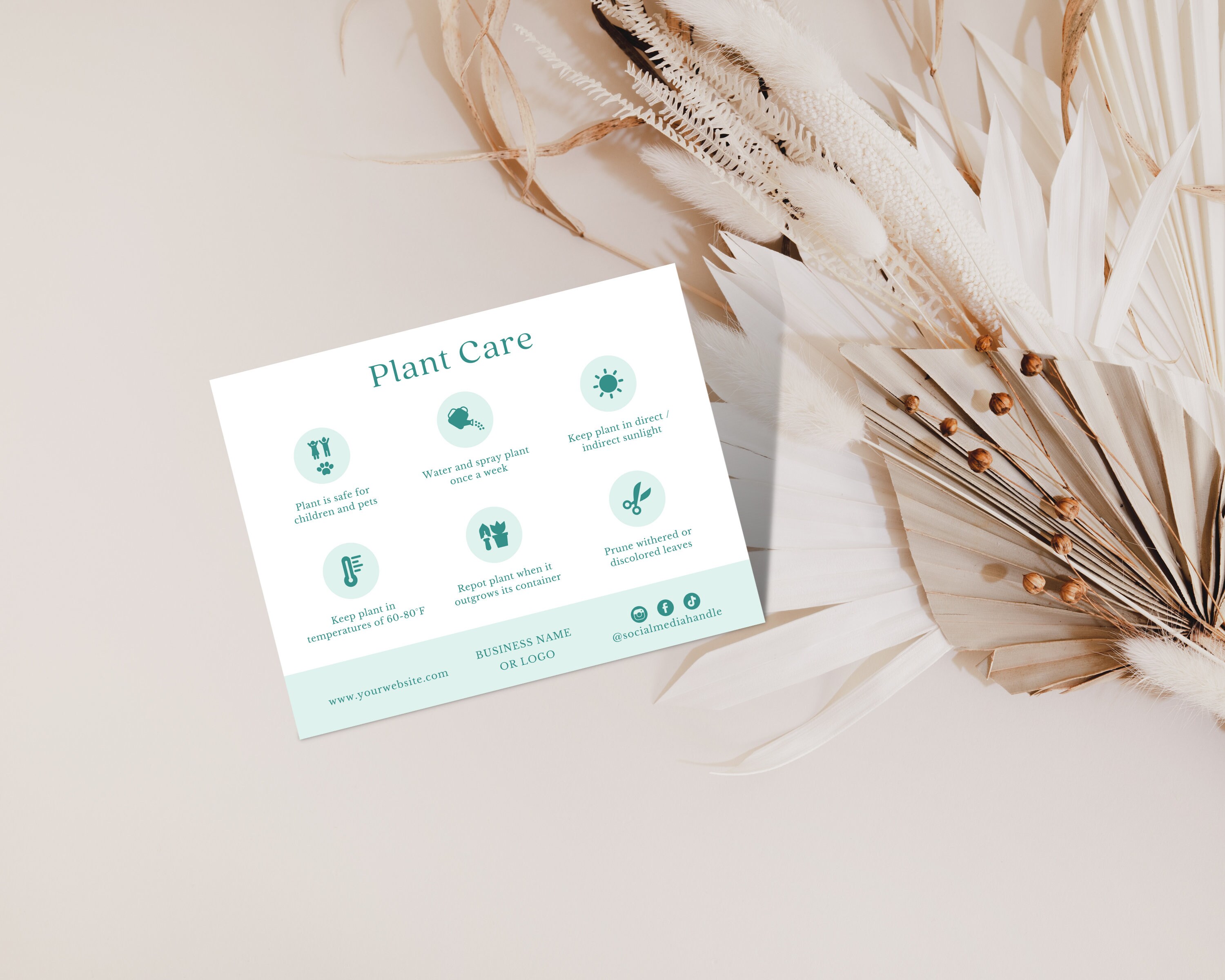 Editable Plant Care Card Template, Plant Care Package Insert, Printable ...