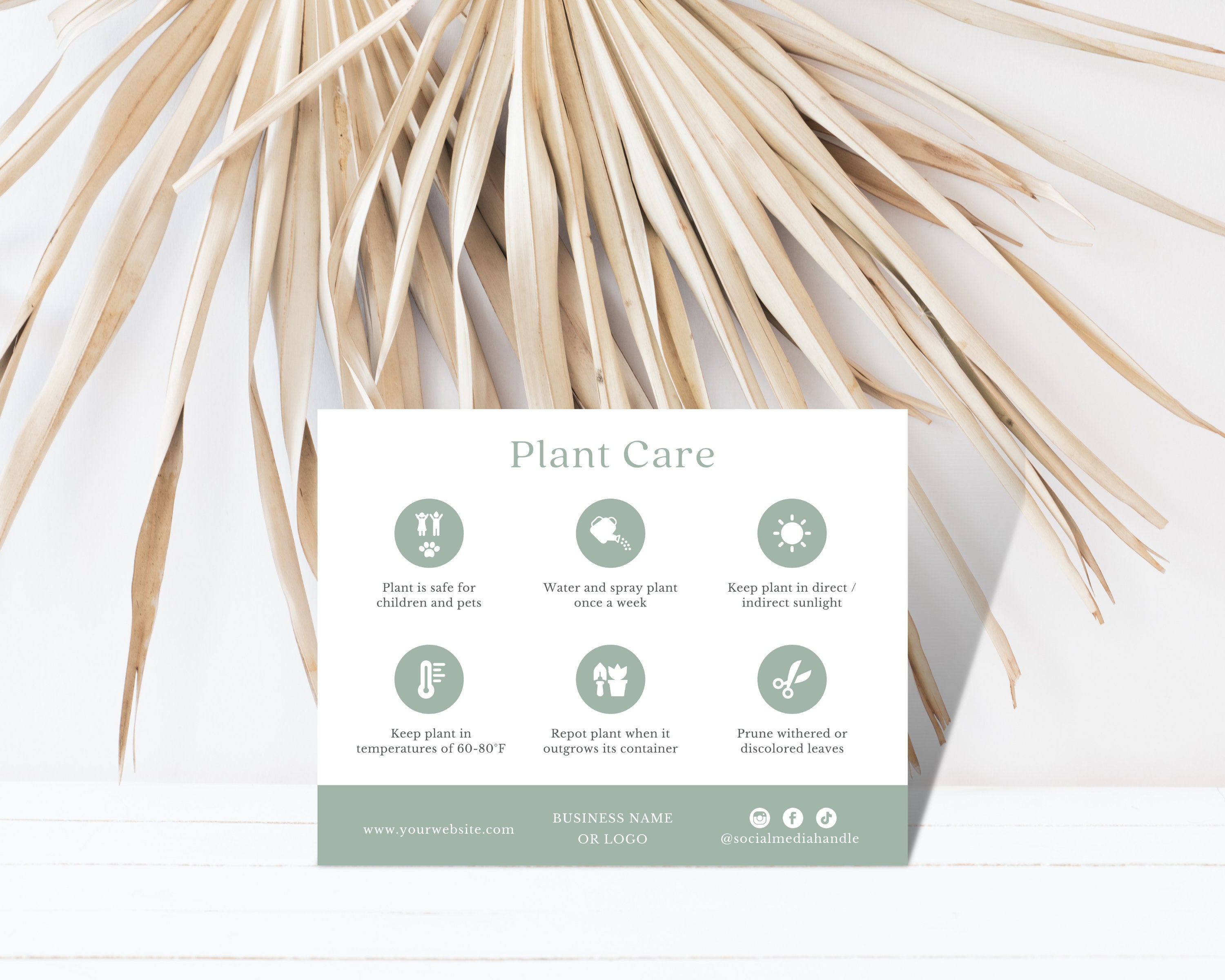 Editable Plant Care Card Template Plant Care Package Insert - Etsy ...