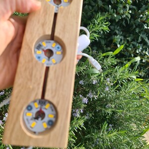 Large Wooden LED LIGHT Sphere Stand (white / Warm Yellow / Multi ...