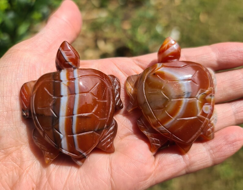 Gorgeous Carnelian Turtle Carving - Etsy UK
