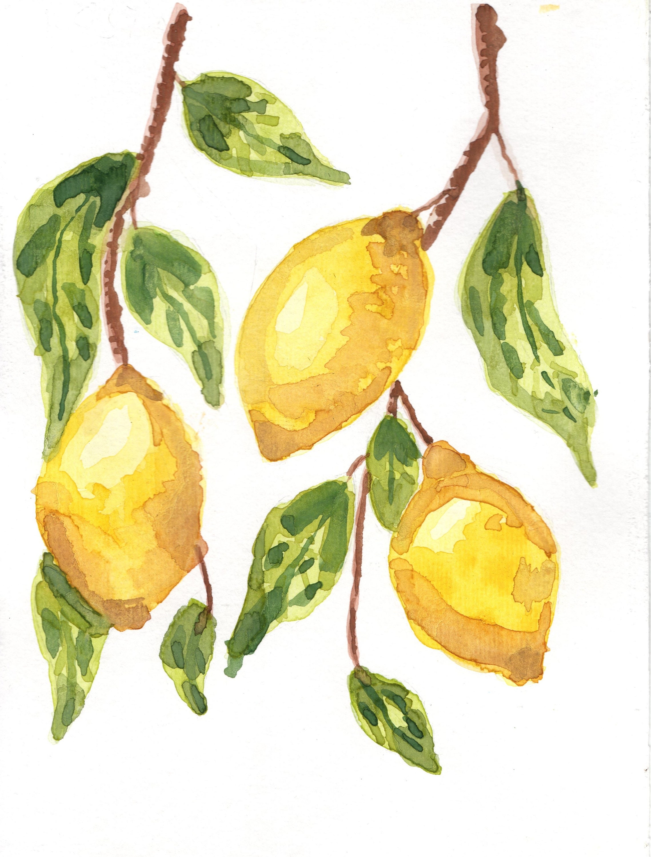 Watercolor Lemon Digital Art Print - Etsy