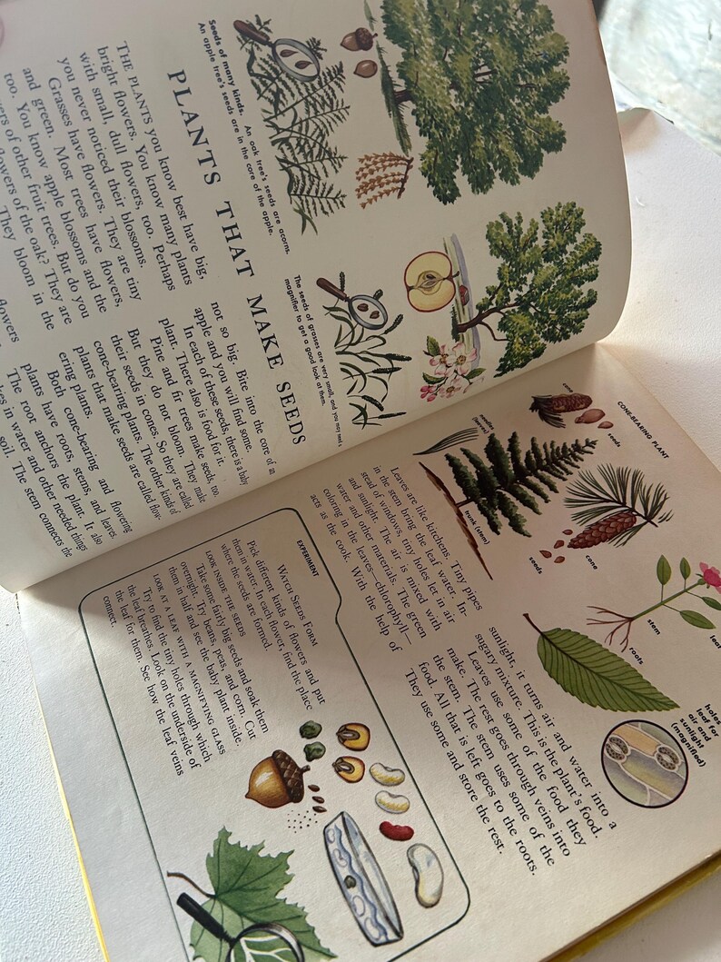 Vintage Children's Science Book, "the Golden Picture Book" (1957) - Etsy