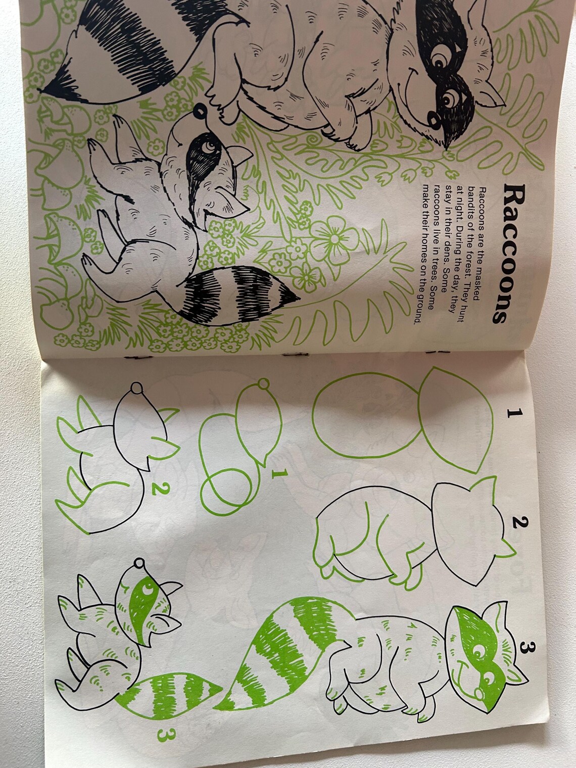 How to Draw Forest Animals by Barbara Soloff Levy (1985) Simple Guide ...