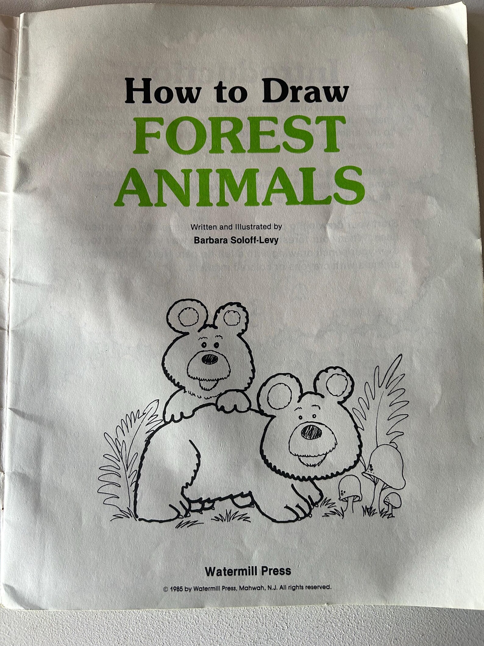 How to Draw Forest Animals by Barbara Soloff Levy (1985) Simple Guide ...