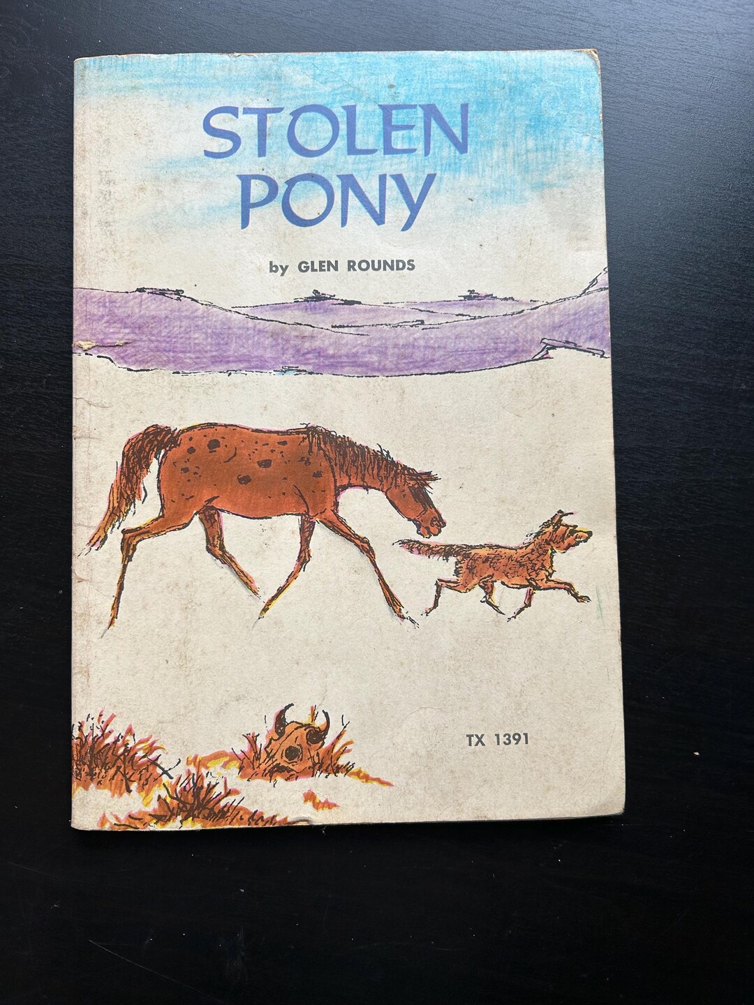 1971's Vintage Children's Book "stolen Pony" by Glen Rounds - Etsy Canada
