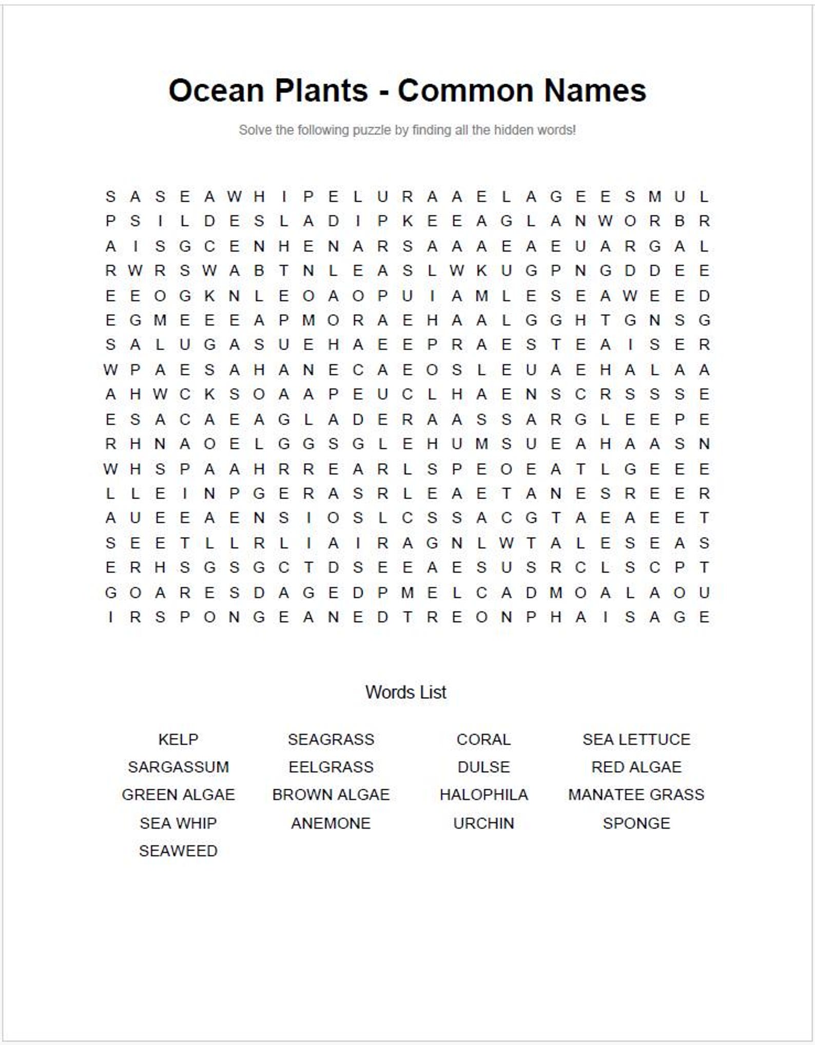 Unique Word Search Puzzles and Solutions - Etsy