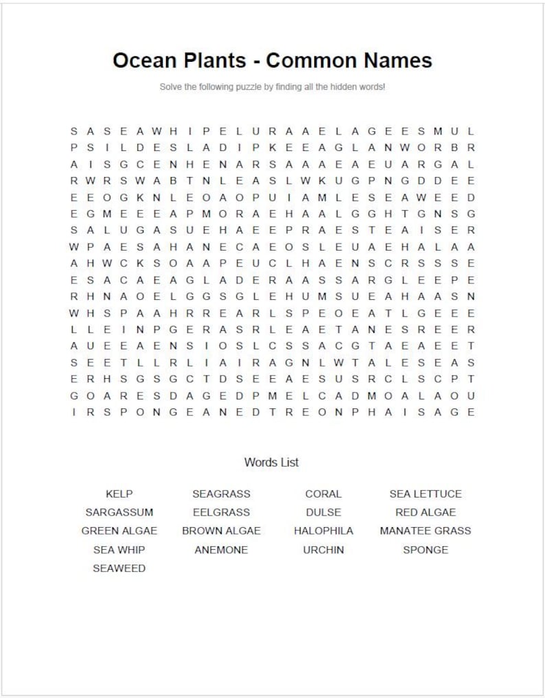 Unique Word Search Puzzles and Solutions - Etsy