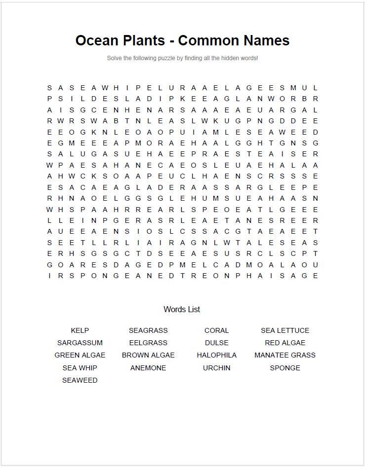 Unique Word Search Puzzles and Solutions - Etsy