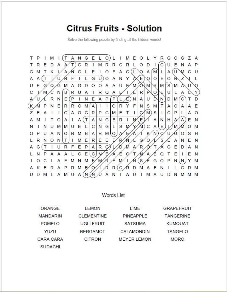 Unique Word Search Puzzles and Solutions - Etsy