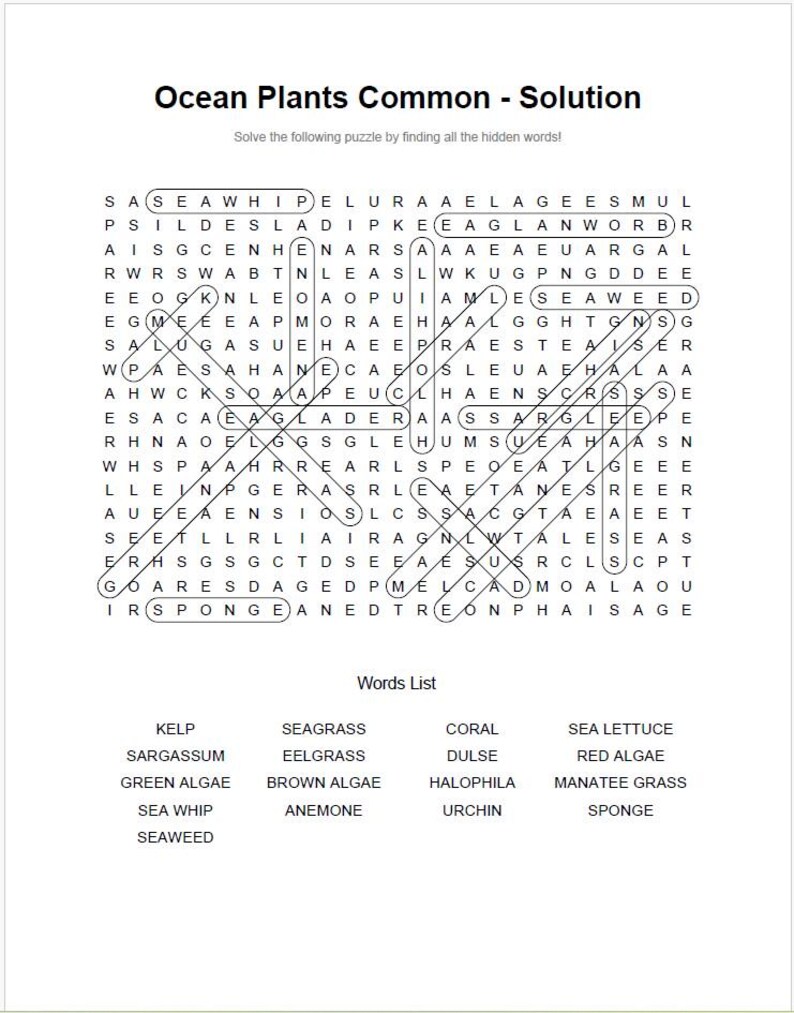 Unique Word Search Puzzles and Solutions - Etsy