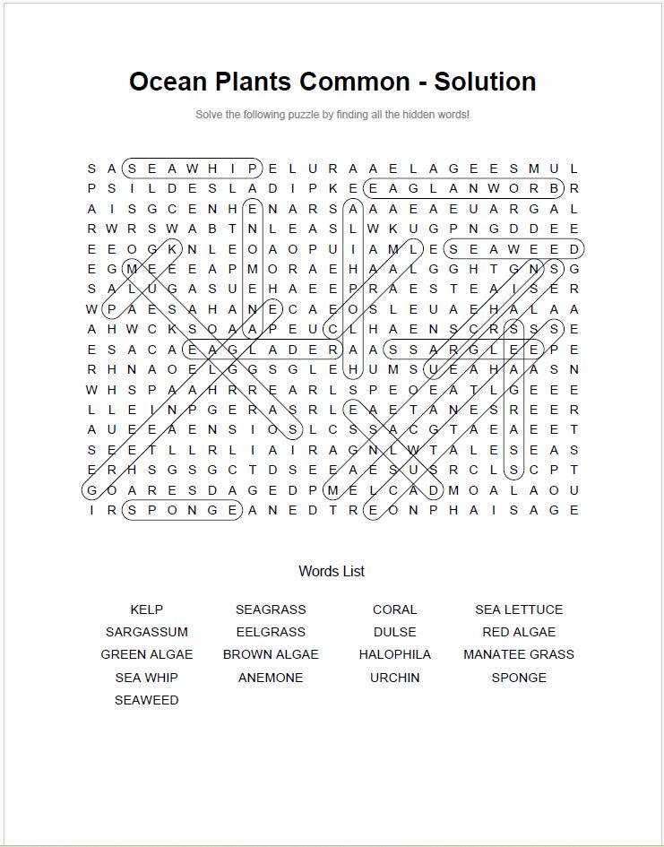 Unique Word Search Puzzles and Solutions - Etsy