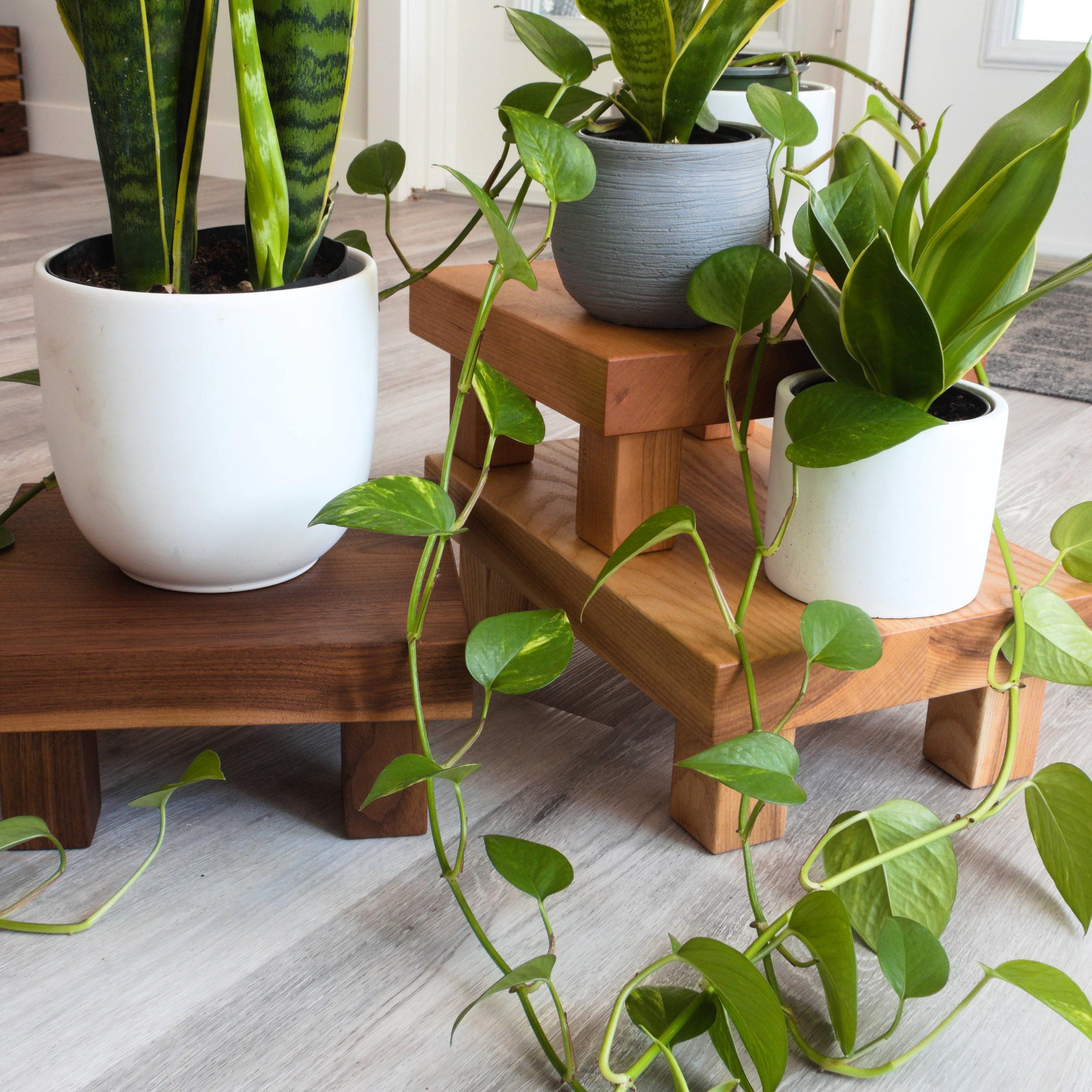 Plant Stand, Riser, Stool, Display Stand, Cake Stand, Kitchen Riser ...