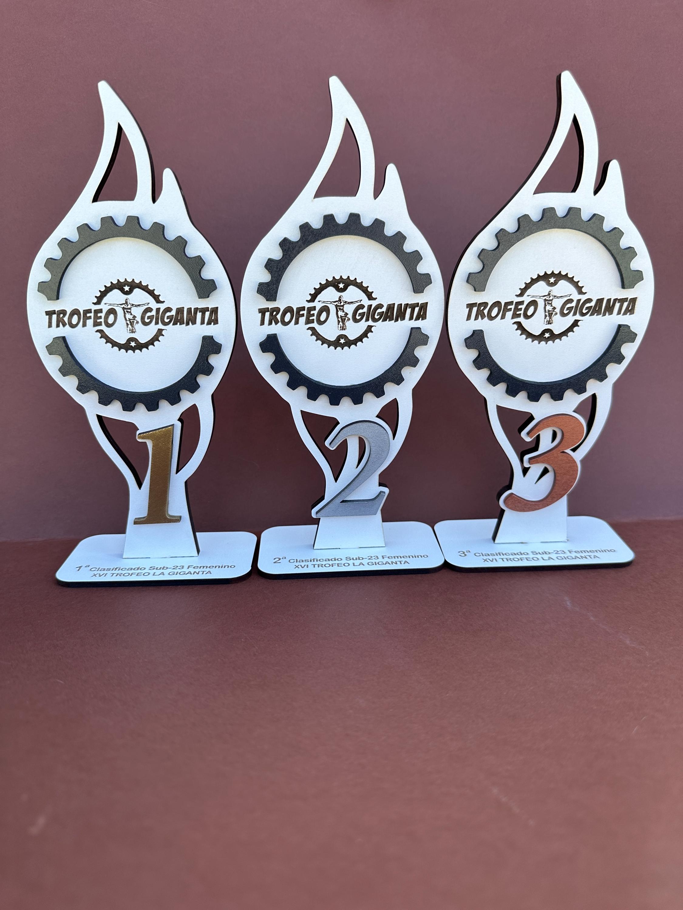 Custom Cycling Trophies, Personalized Bike Race Awards, BMX & Mountain ...