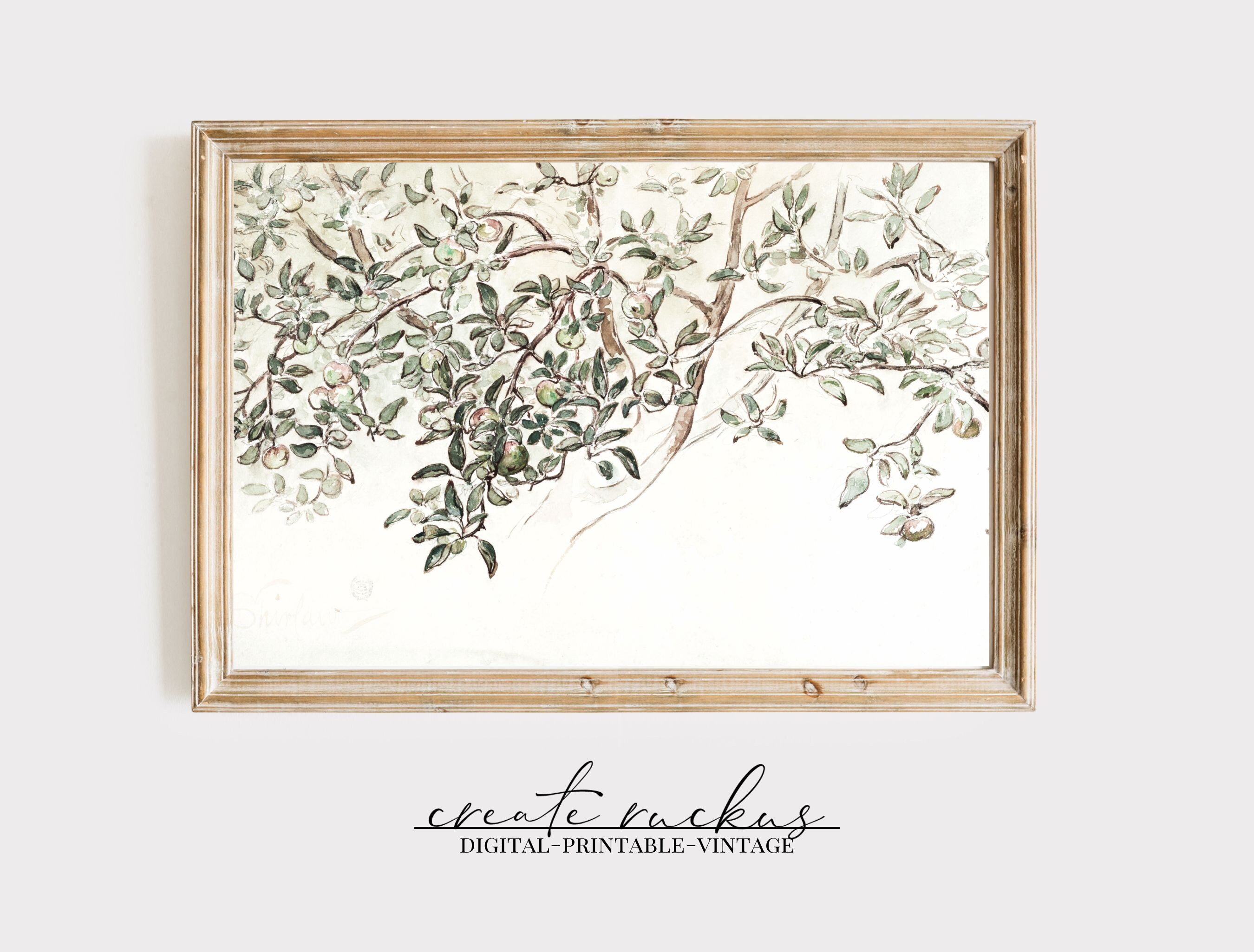 Apple Tree Branch Drawing | Printable Vintage Wall Art | Antique Sketch ...