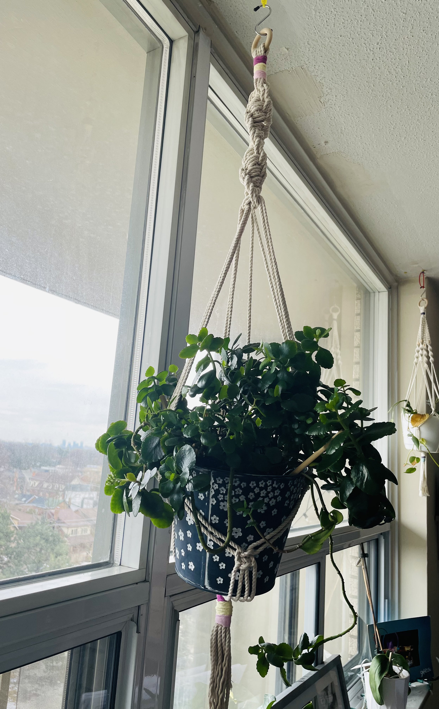 Three Color Spiral Knot - Etsy