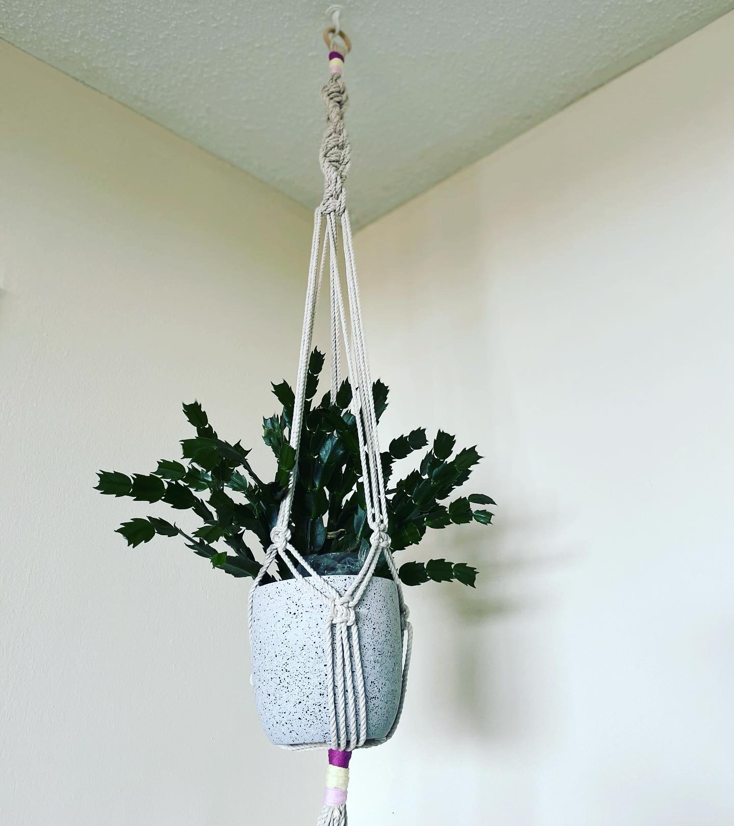 Three Color Spiral Knot - Etsy