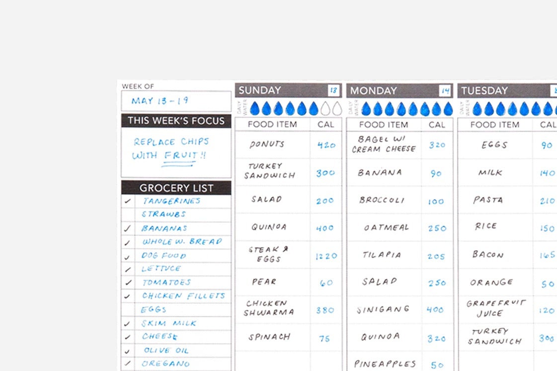 Digital Calorie Tracker (printable) - Etsy