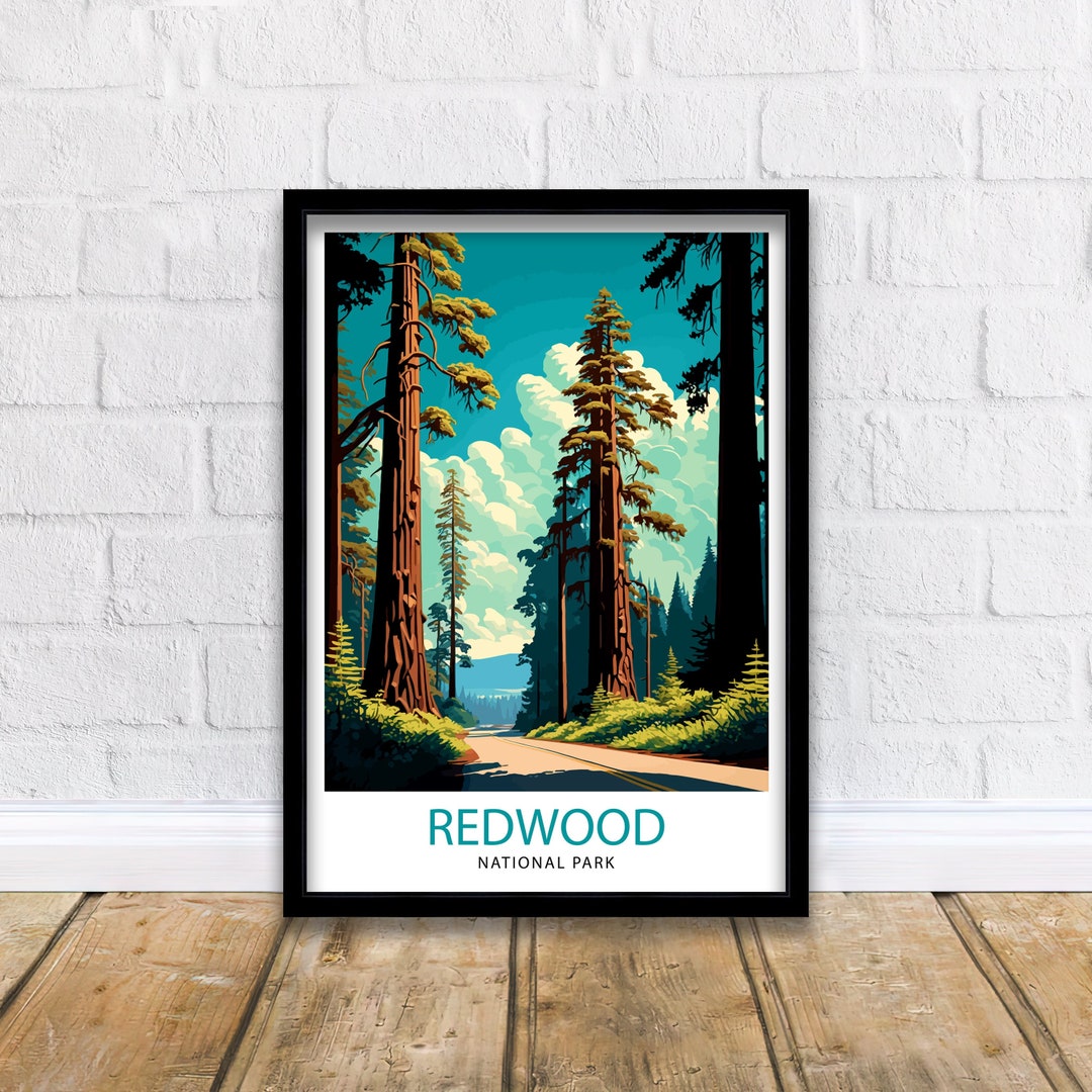 Redwood National Park Travel Print| Redwood Forest Wall Decor ...