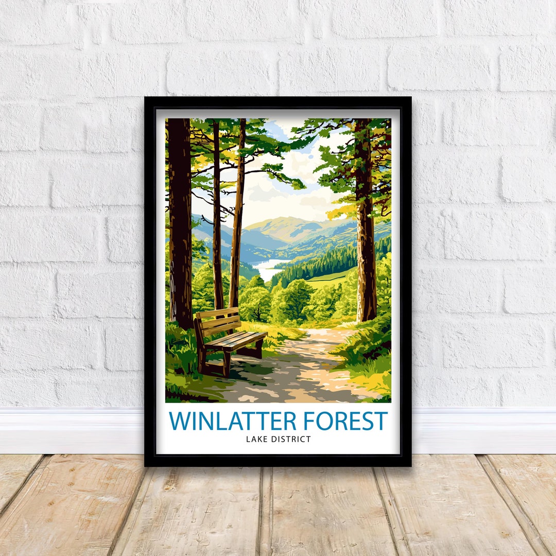 Whinlatter Forest Travel Poster Wall Decor Wall Art Whinlatter Forest ...