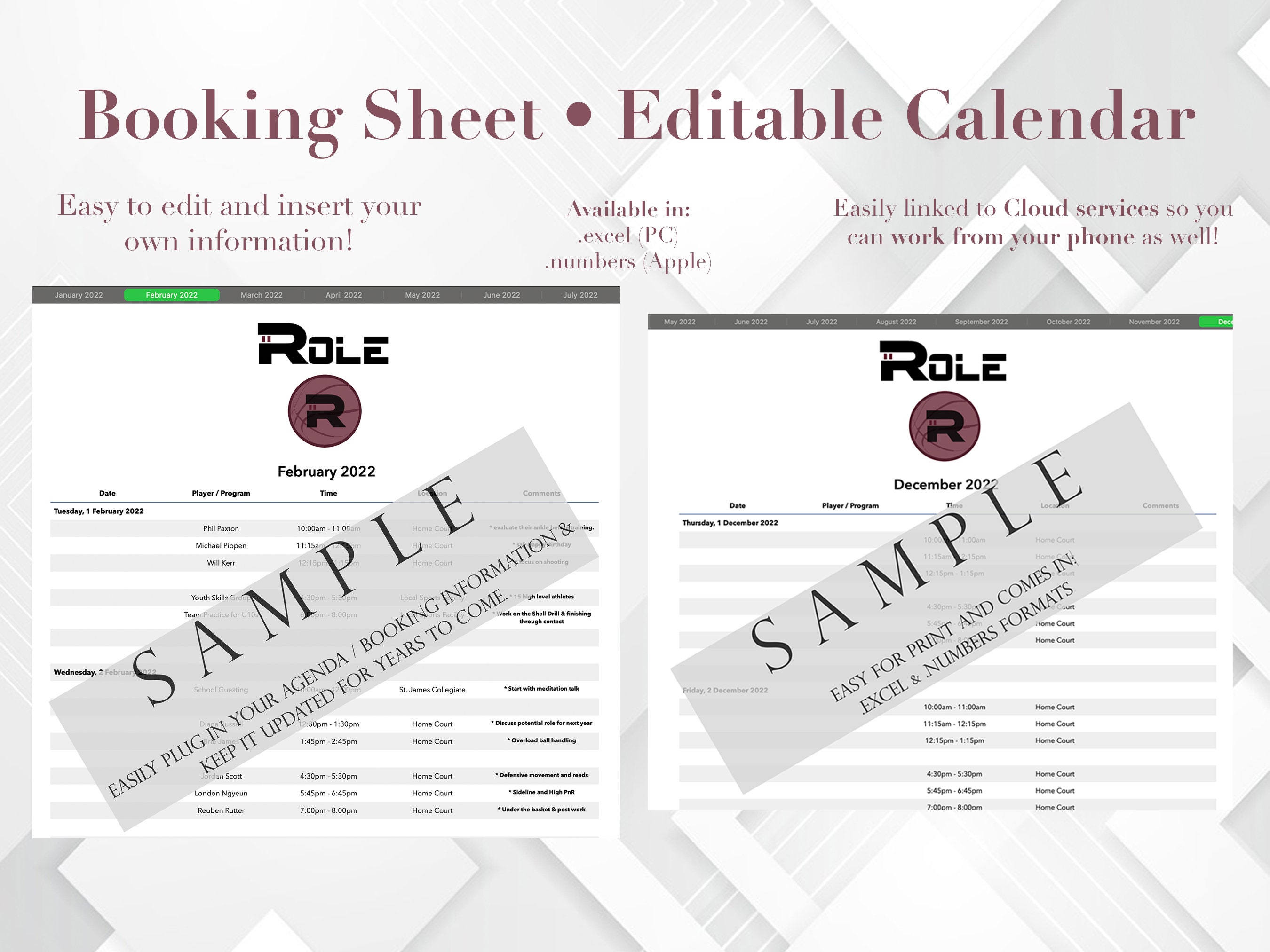 Editable Spreadsheet • Booking Sheet for Trainers and Coaches • planner ...