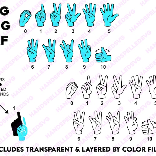 American Sign Language Asl Complete Alphabet & Numbers 0-10 - Etsy
