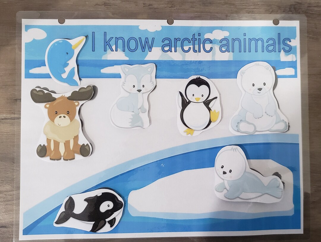 Arctic Animals Busy Book Shadow Match Learning Binder Page - Etsy