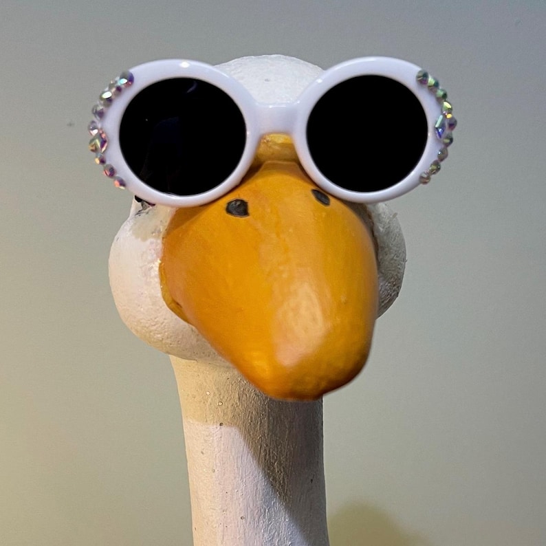 Porch Goose Rhinestone Sunglasses, Seasonal Goose Accessories - Etsy