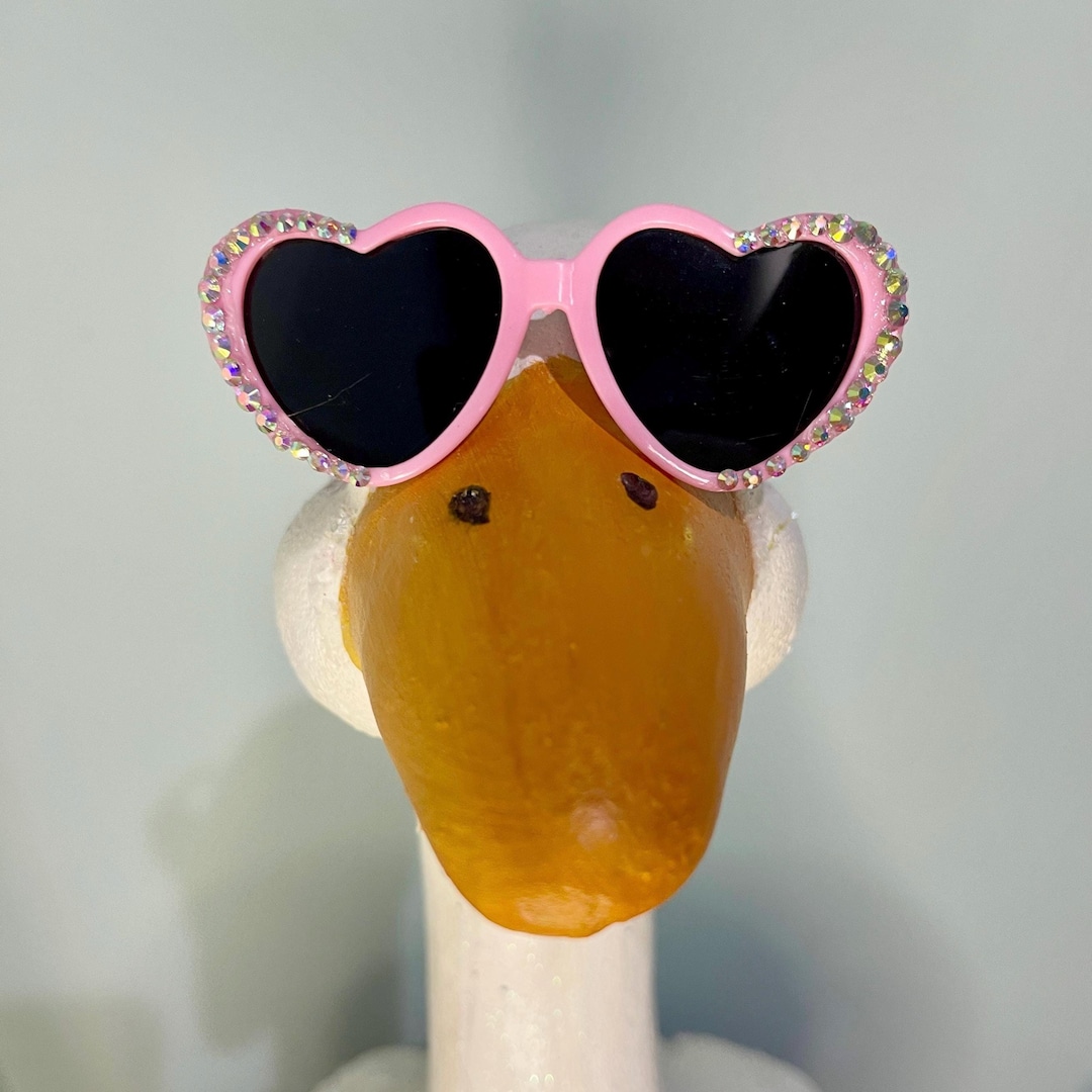 Porch Goose Rhinestone Sunglasses, Seasonal Goose Accessories - Etsy