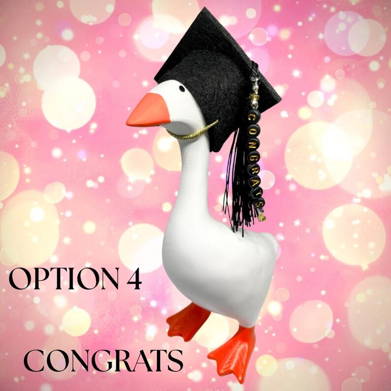 Desk Goose Graduation Hat, Felt Cap With Tassel, Graduation Decor - Etsy