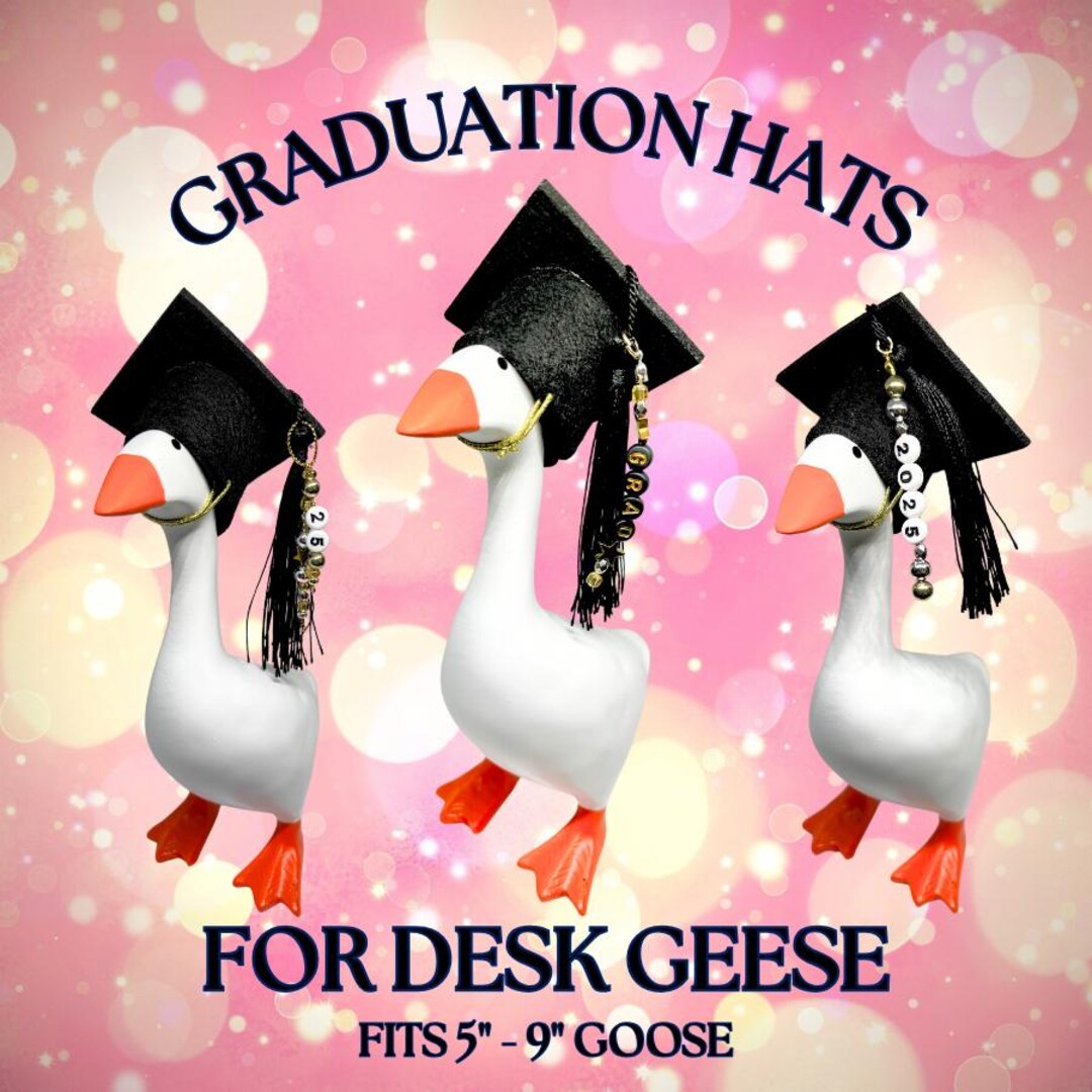 Desk Goose Graduation Hat, Felt Cap With Tassel, Graduation Decor - Etsy