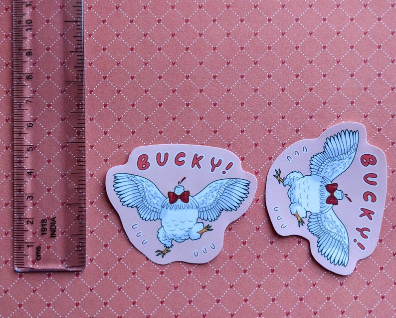 CSM Bucky Sticker - Etsy
