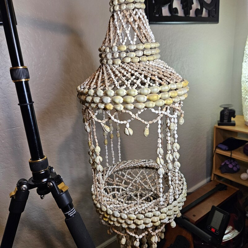 Shell Plant Hanger - Etsy