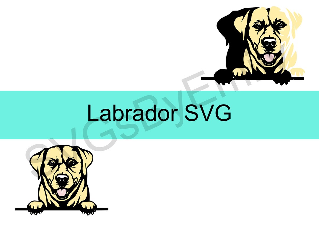 Layered SVG Bundle Labrador Retriever Lab Dog Puppy Perfect for Cricut ...