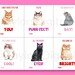18 Instant Download Cat Printable Valentine's Day Cards, Editable ...