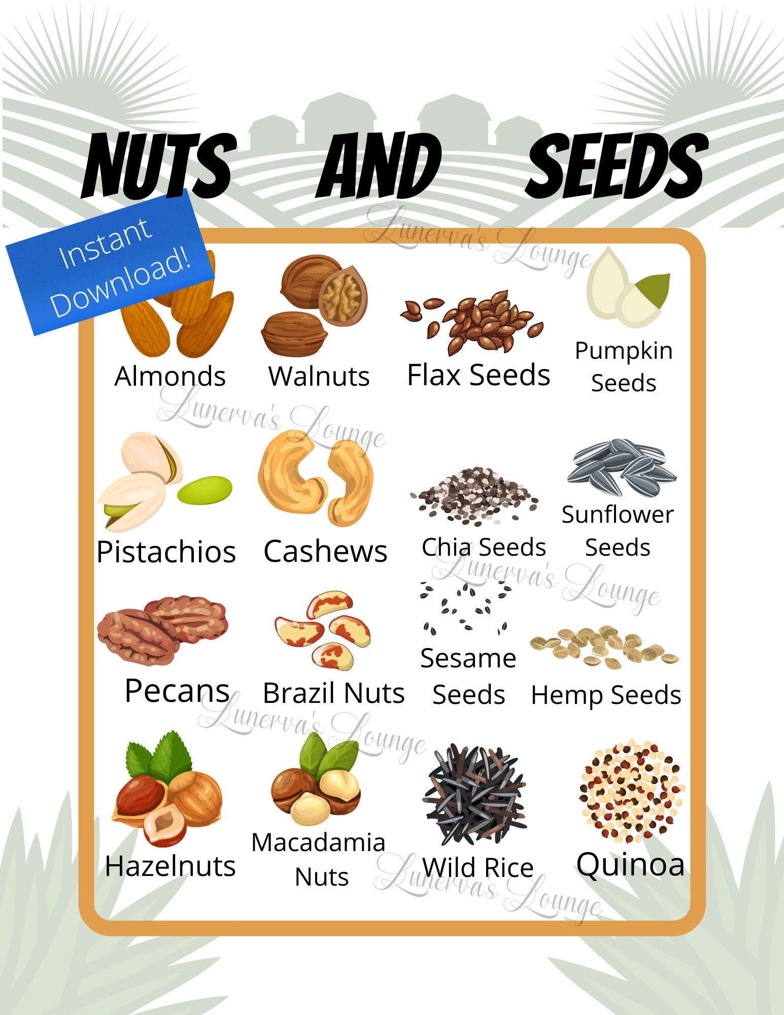 Kids' Nutritional Poster | Nuts and Seeds Poster With Labels | Instant ...