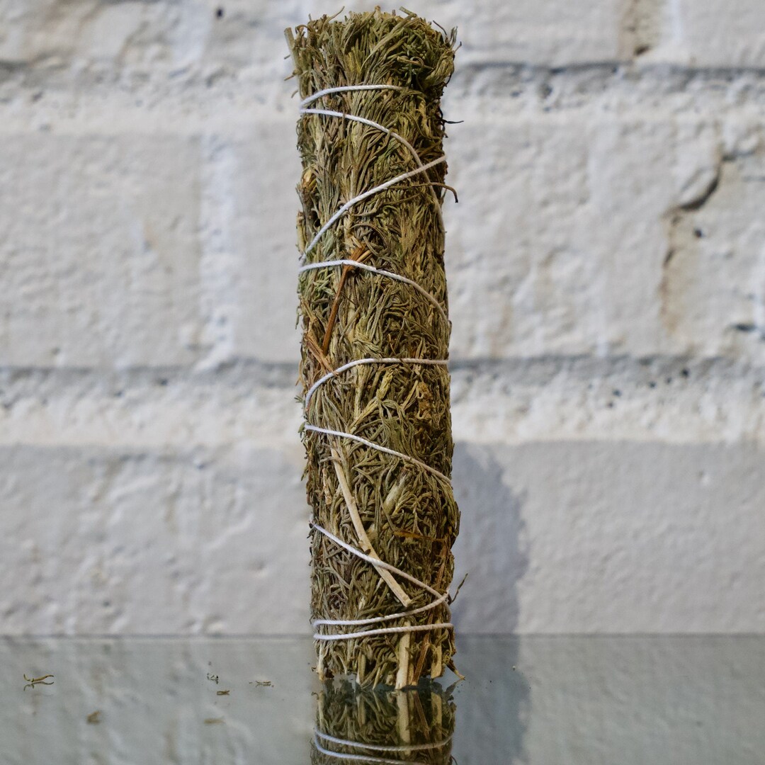 Desert Magic Sage Herb Bundle | Artemesia Tridentata | 4" - Etsy