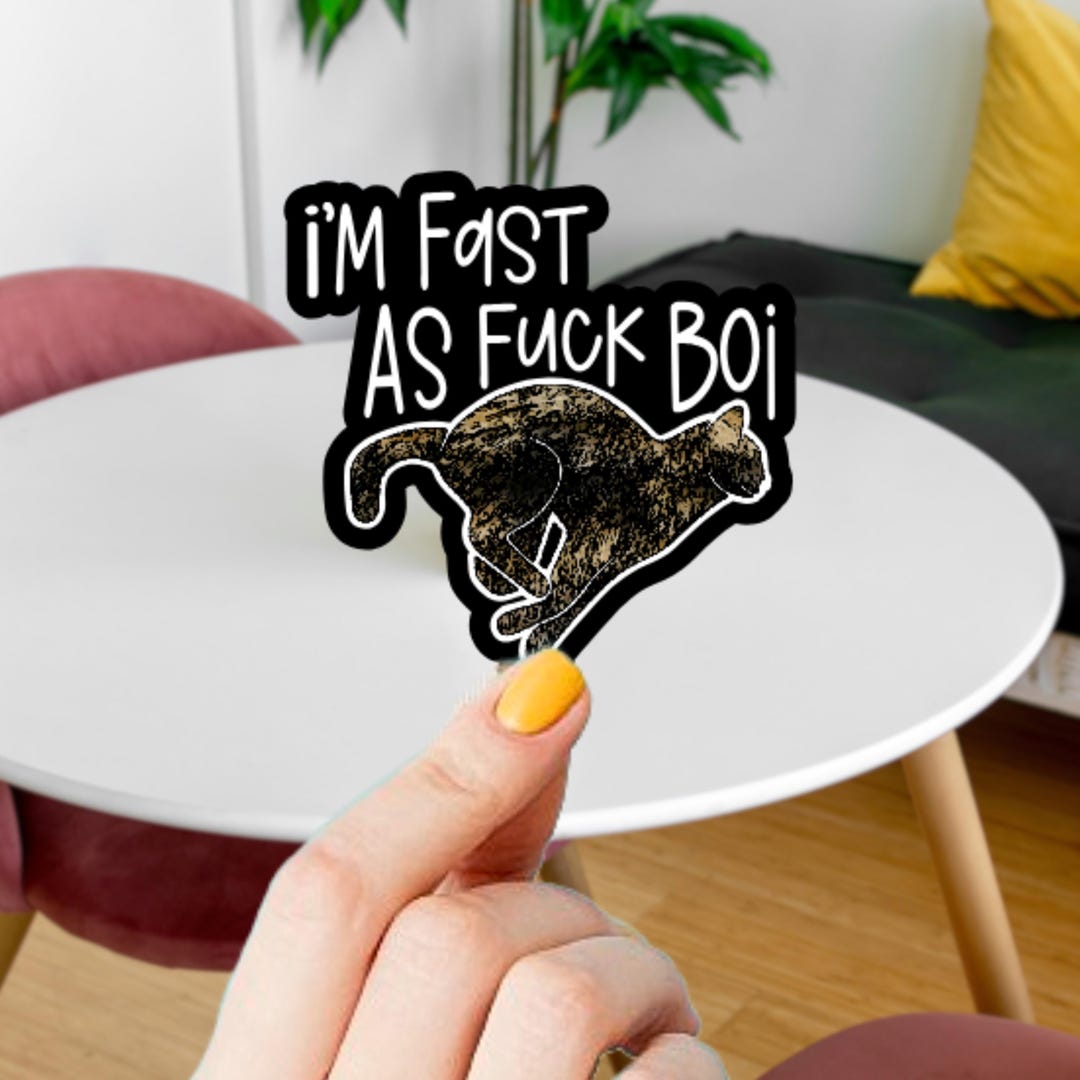 Funny Tortie Cat Sticker | “i’m Fast as F*ck Boi” Vinyl Decal | Chaotic ...