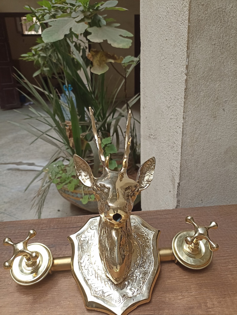 Deer Face Brass Wall Mount Faucet With Cross Handles and Included Valve ...